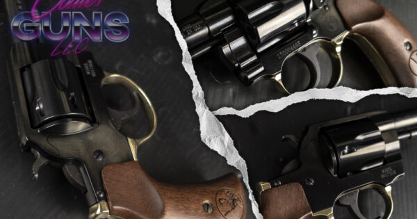 Henry Big Boy Revolver Birdshead | Coates Guns LLC
