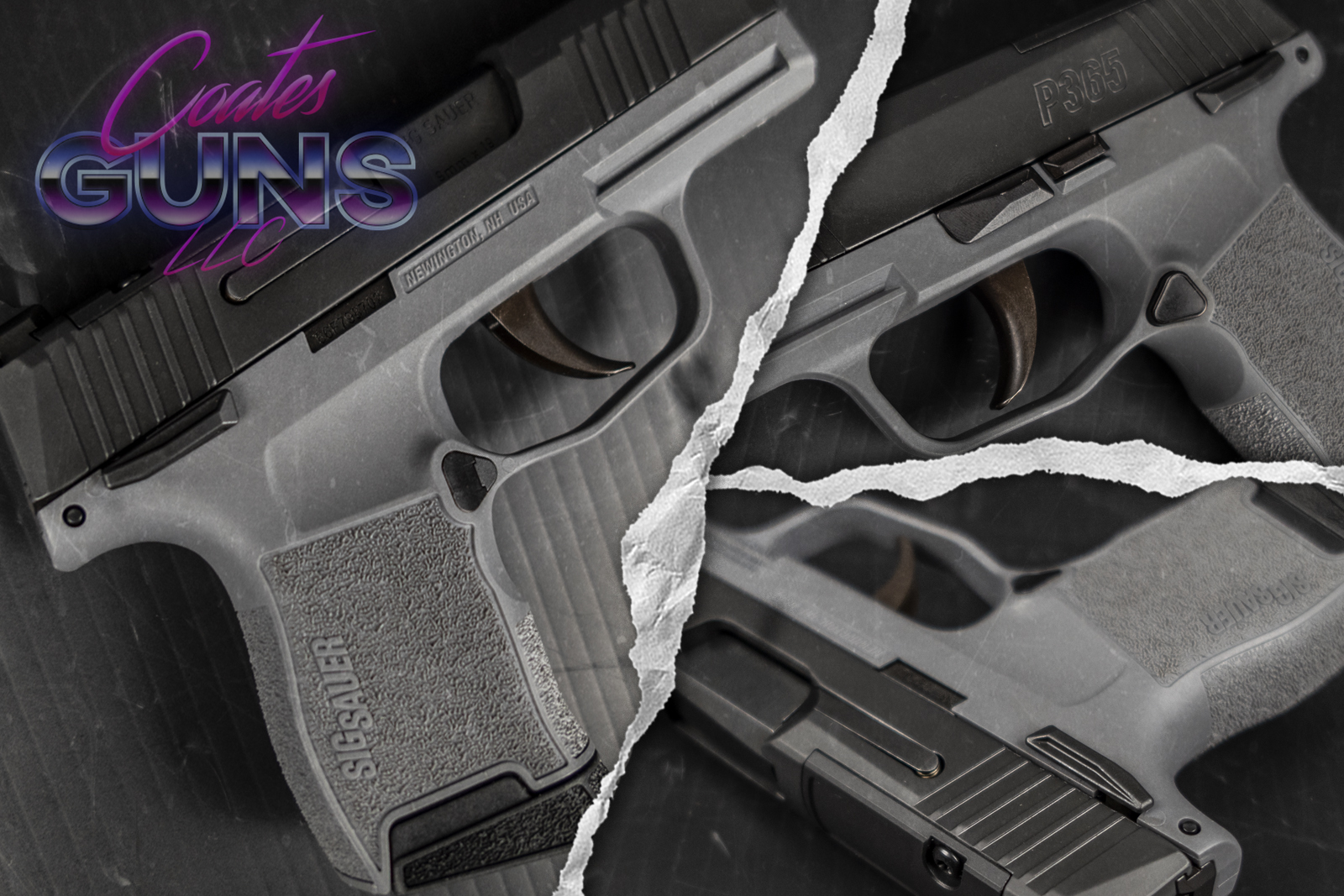 Sig Sauer P365 MS Gray | Coates Guns LLC