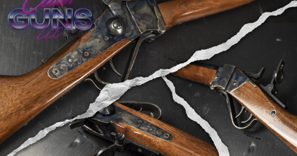 Chiappa Little Sharp Rifle .22 WMR | Coates Guns LLC